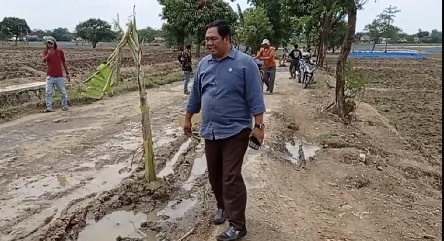 Tak Kunjung Diperbaiki, Warga Luwung Kencana Kabupaten Cirebon Tanam Pohon Pisang di Tengah ...